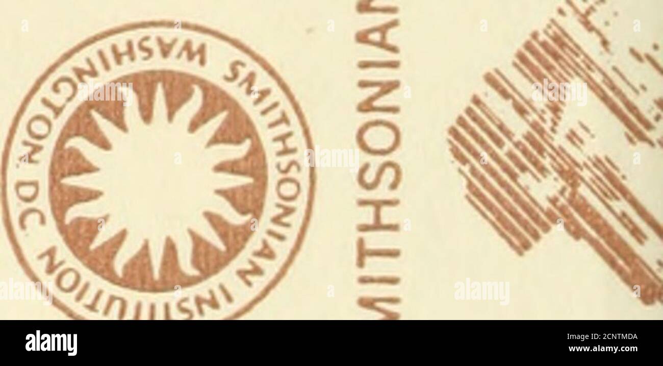 . Birds from the islands of Romblon, Sibuyan, and Cresta de Gallo ...