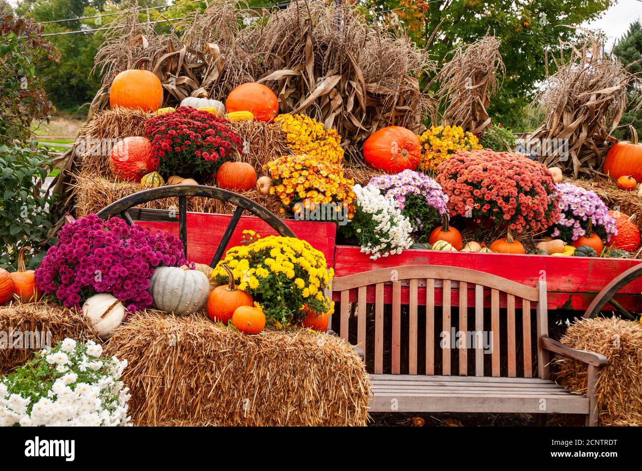 Harvest time in September and October are fun time to visit the farms ...
