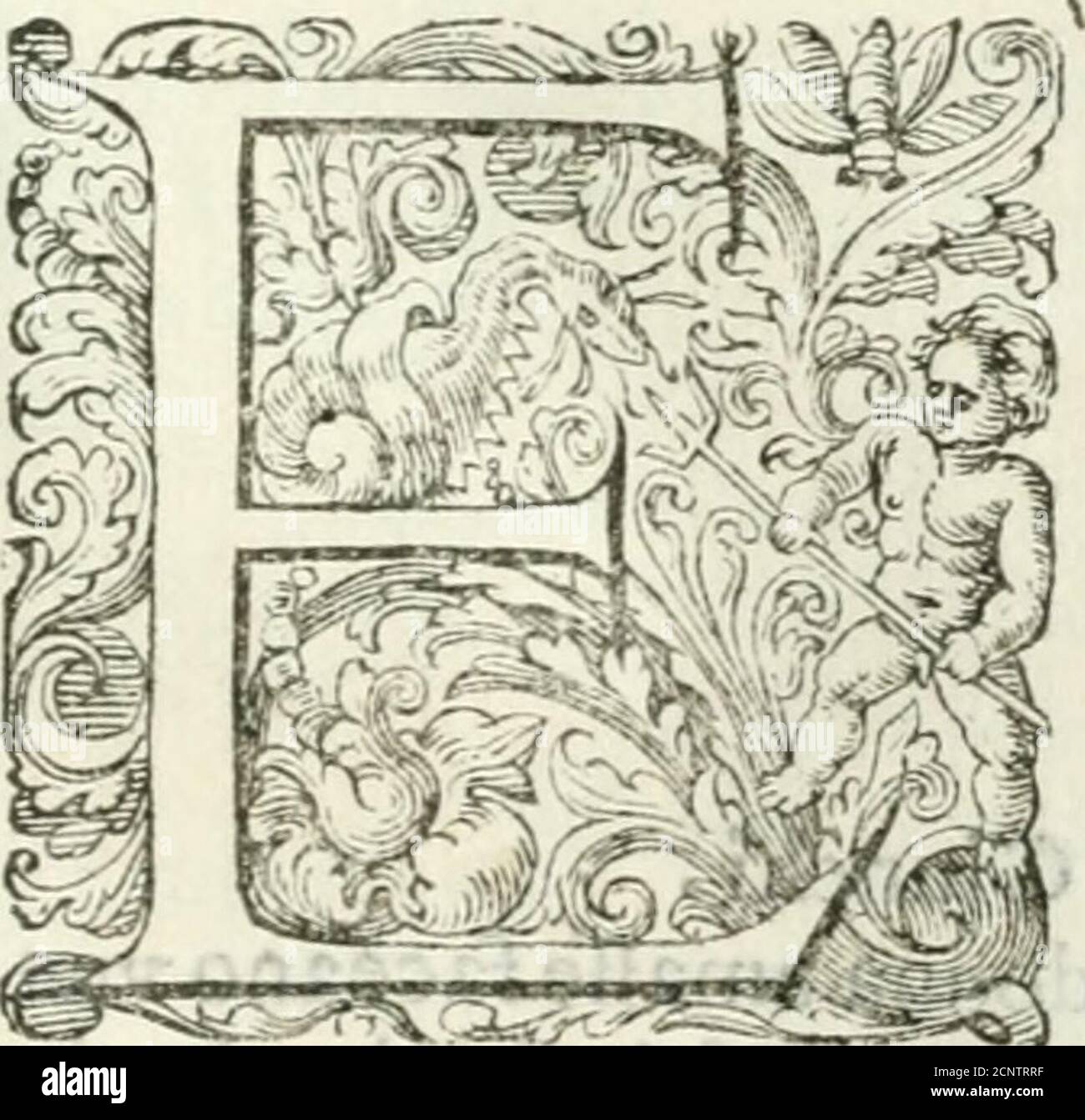 Pico loco hi-res stock photography and images - Alamy