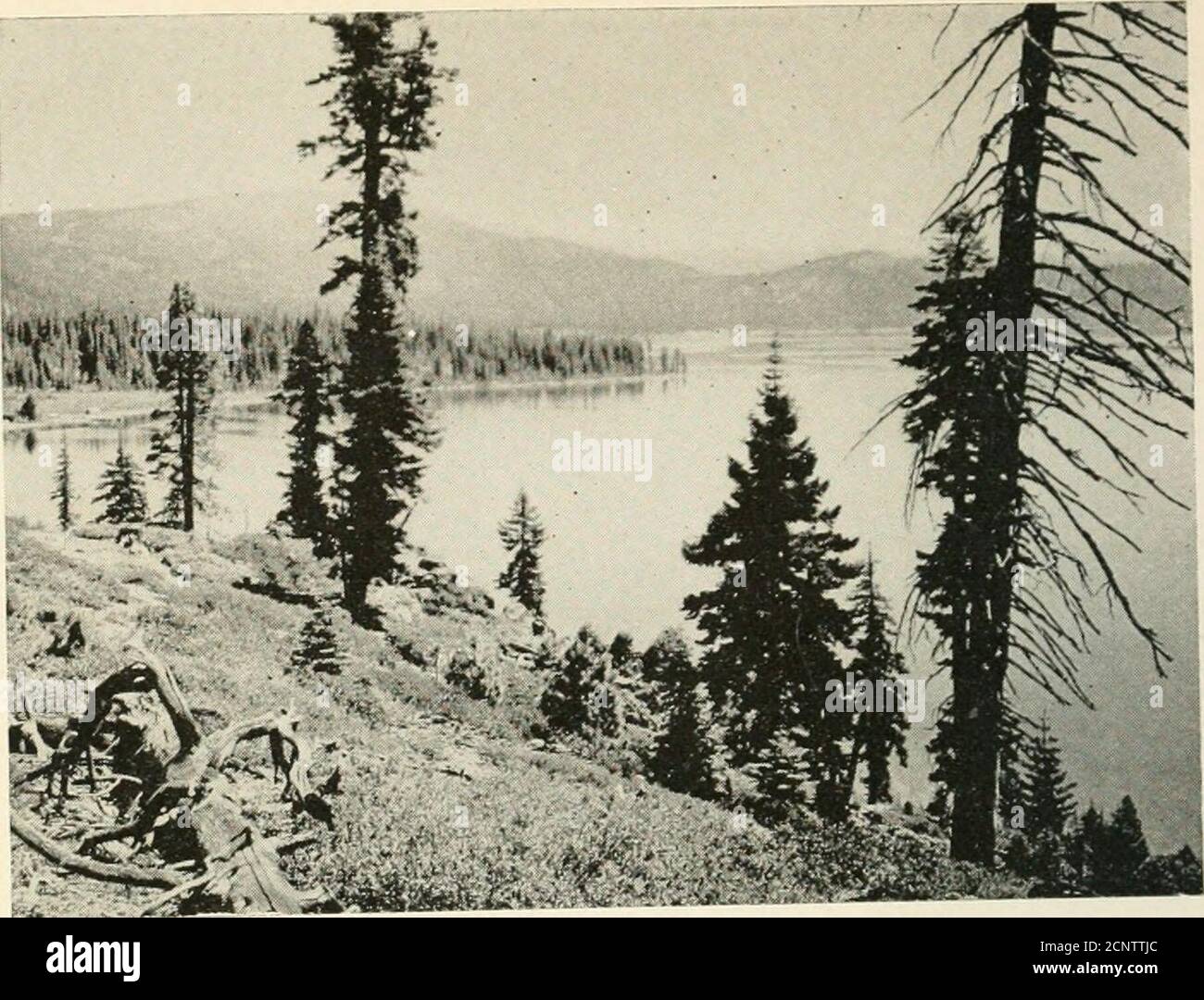 . The lake of the sky, Lake Tahoe, in the high Sierras of California ...