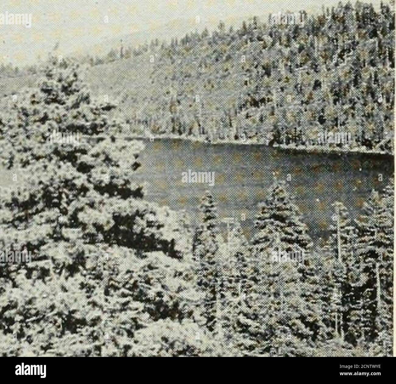 . The lake of the sky, Lake Tahoe, in the high Sierras of California ...