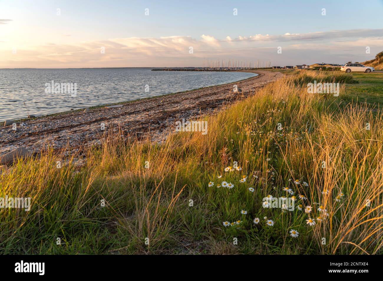 Am limfjord hi-res stock photography and images - Alamy