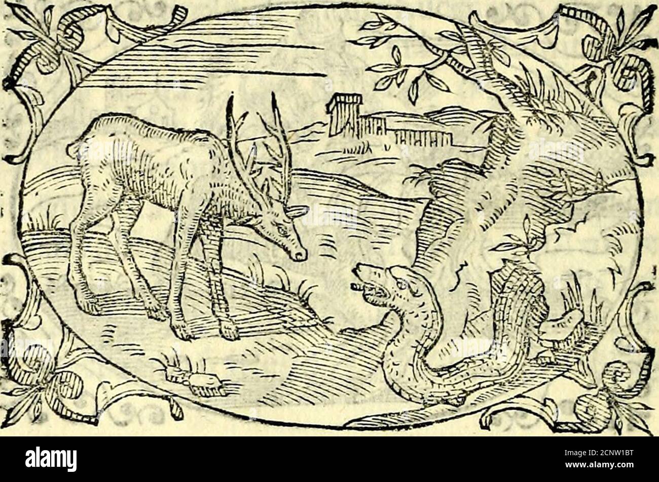 Sterpi hi-res stock photography and images - Alamy