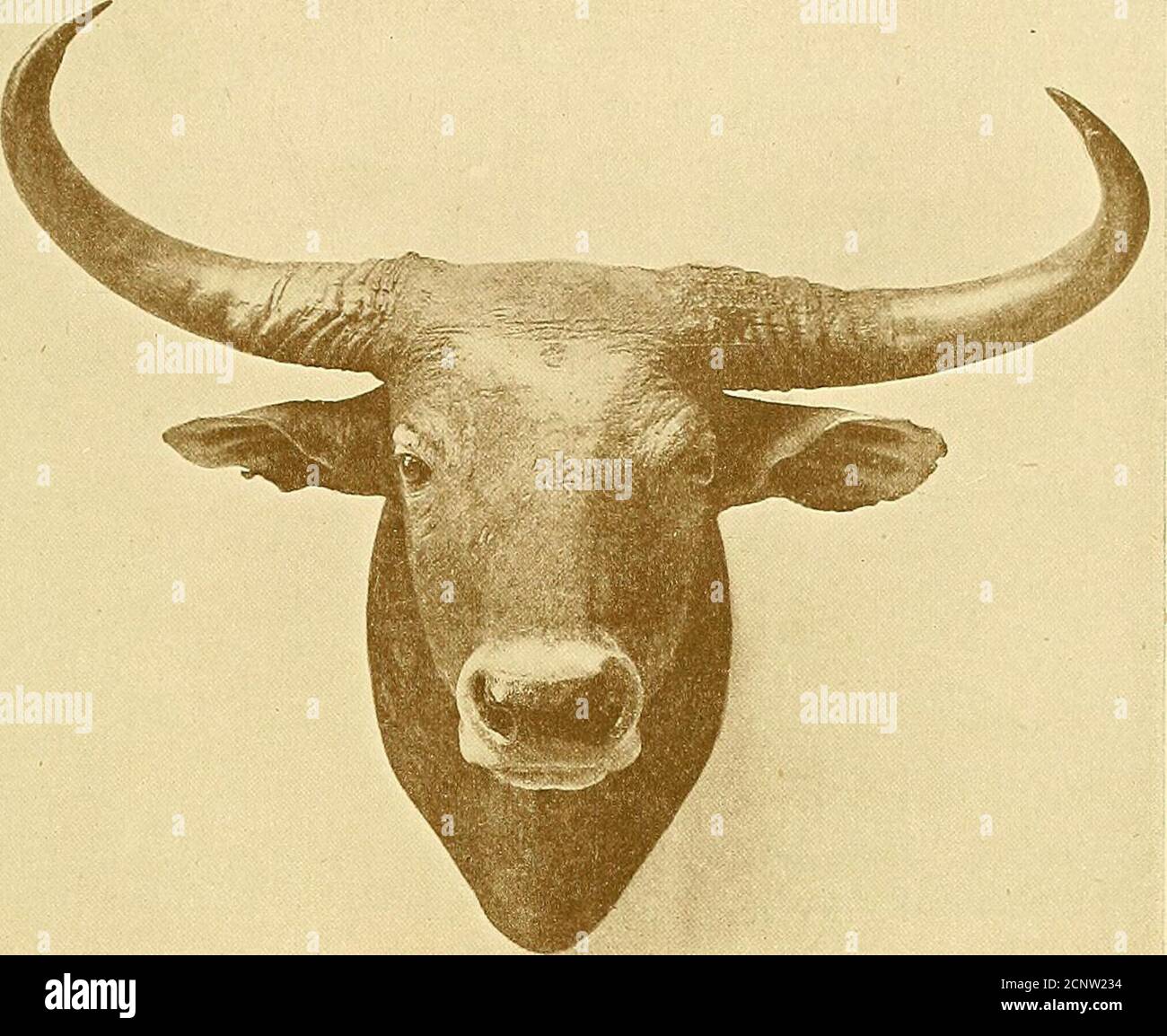 Museumby hi-res stock photography and images - Alamy