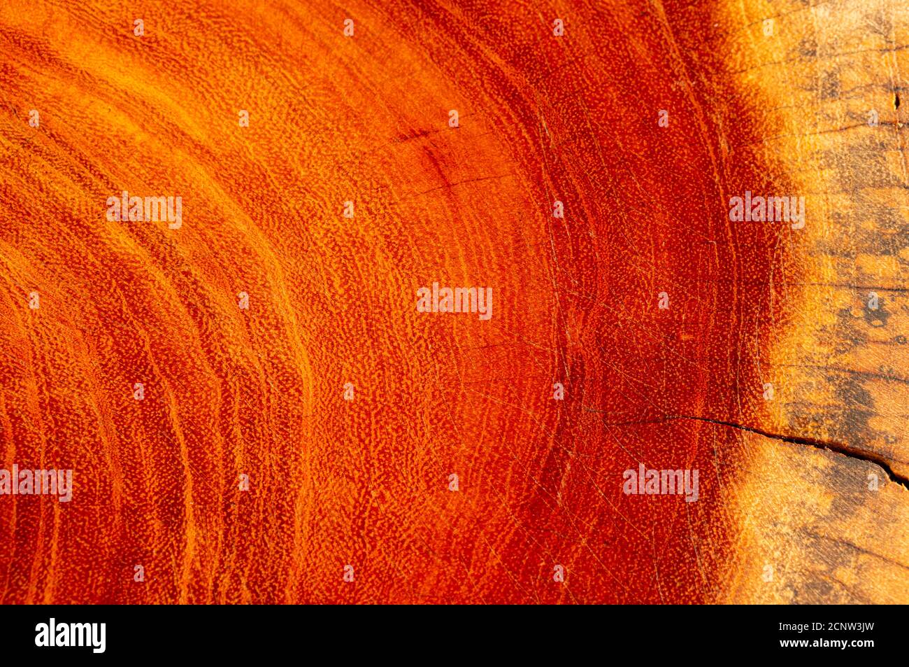 closeup on wood texture, wood background Stock Photo - Alamy