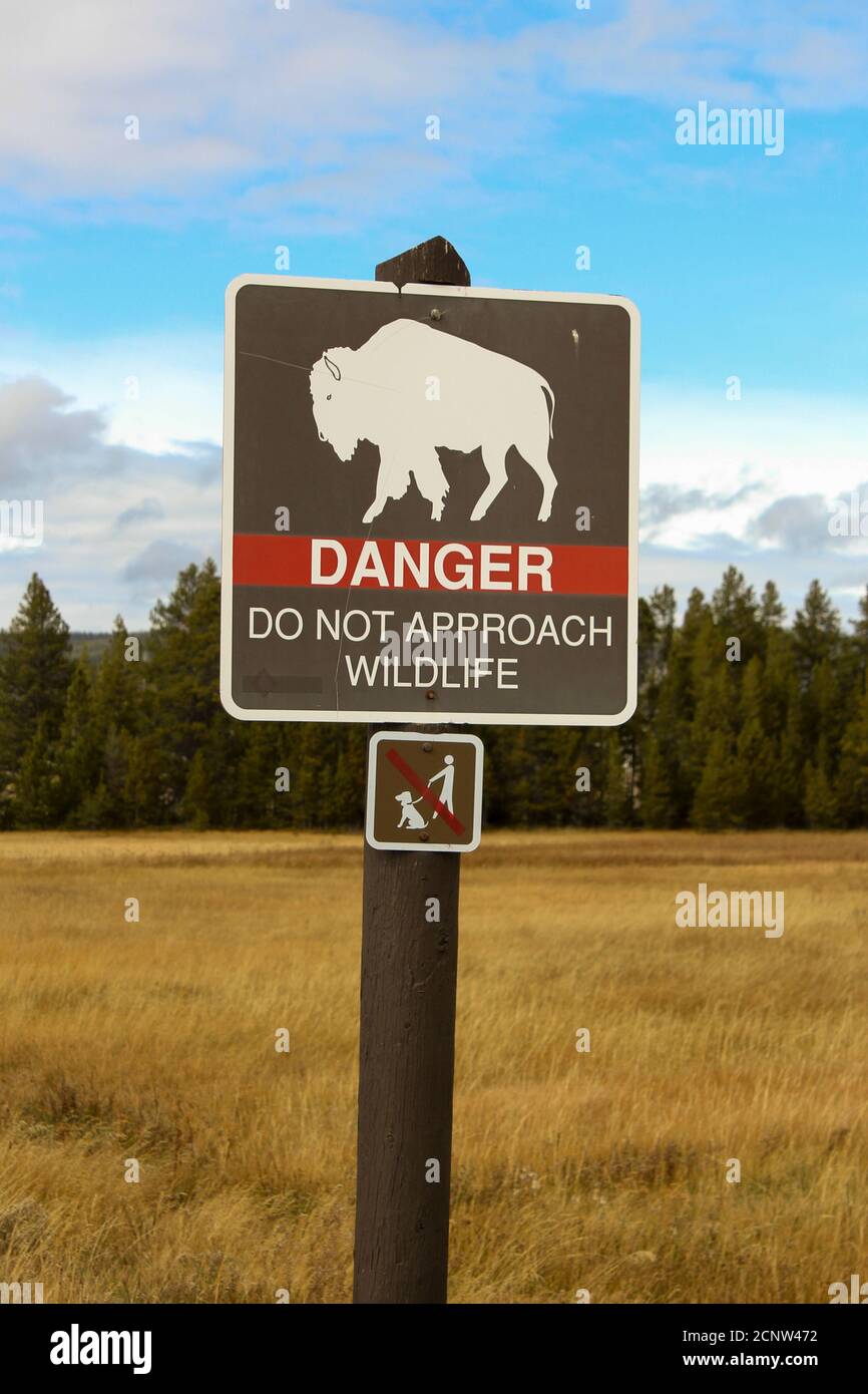Yellowstone National Park, animals buffalo moose danger sign Stock ...