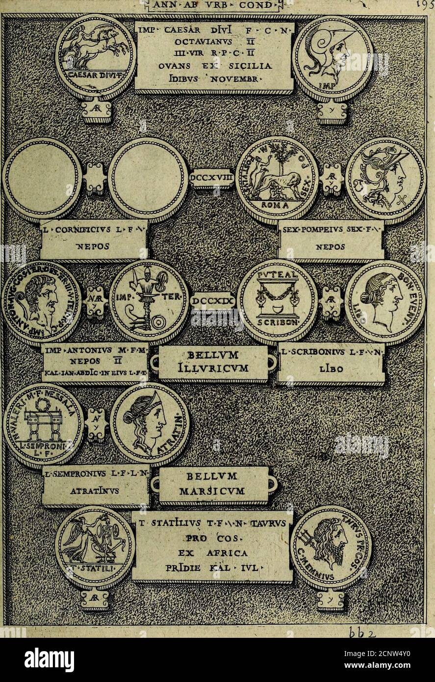 Vrb hi-res stock photography and images - Alamy