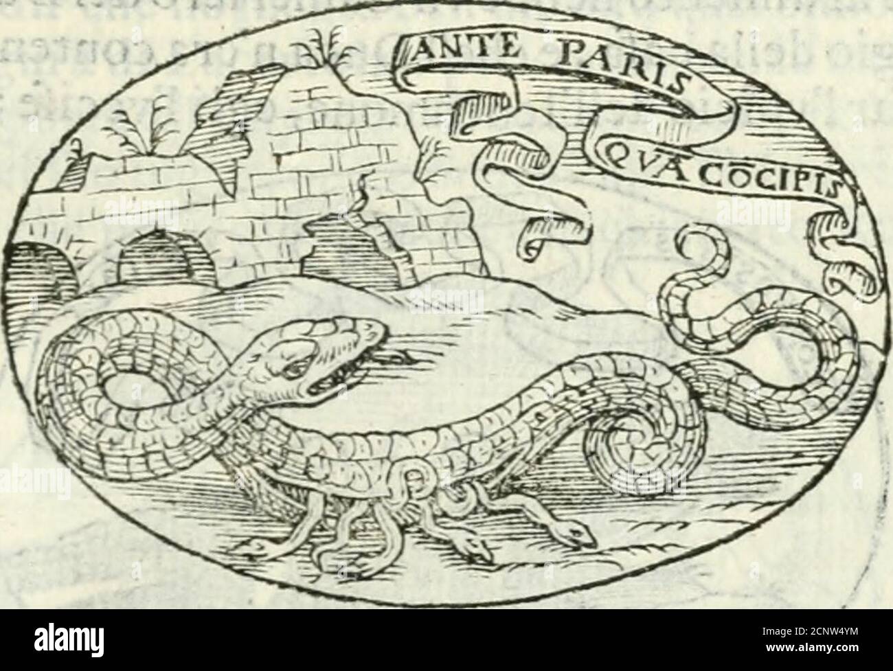 Angelo po hi-res stock photography and images - Alamy