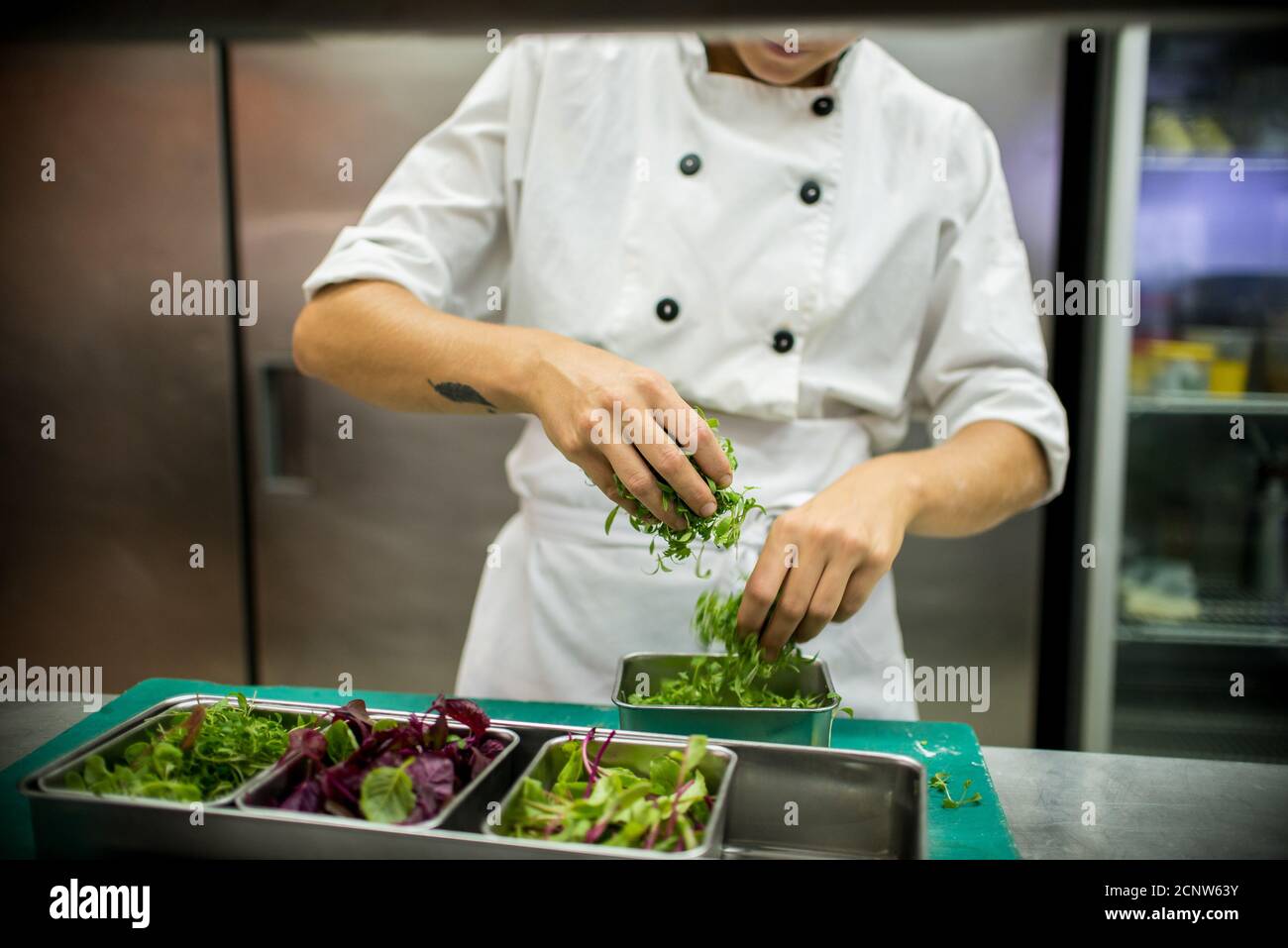 Greeny e hi-res stock photography and images - Alamy