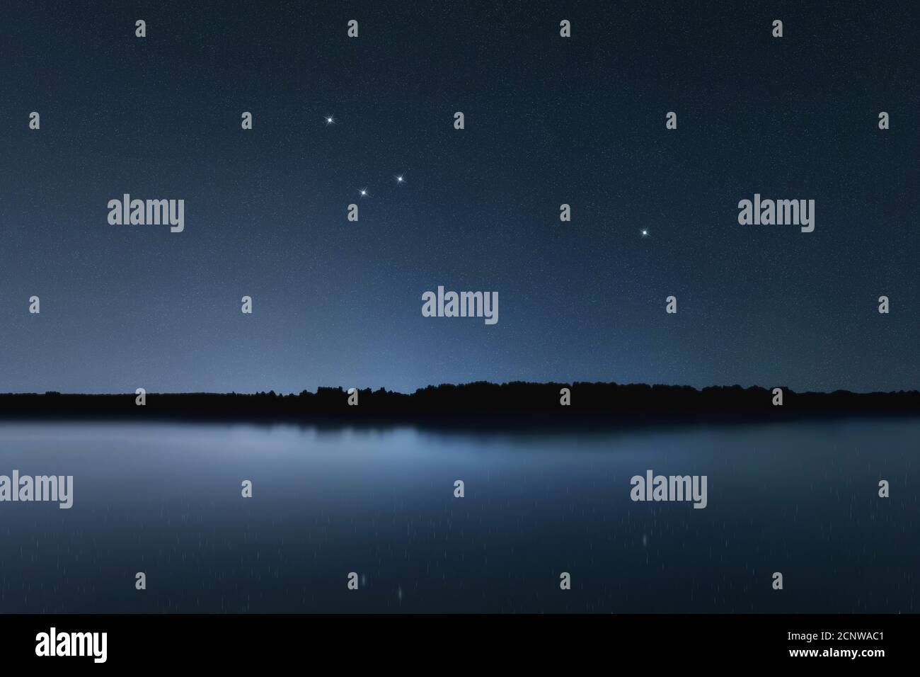 Apus star constellation, Night sky, Cluster of stars, Deep space, Bird ...