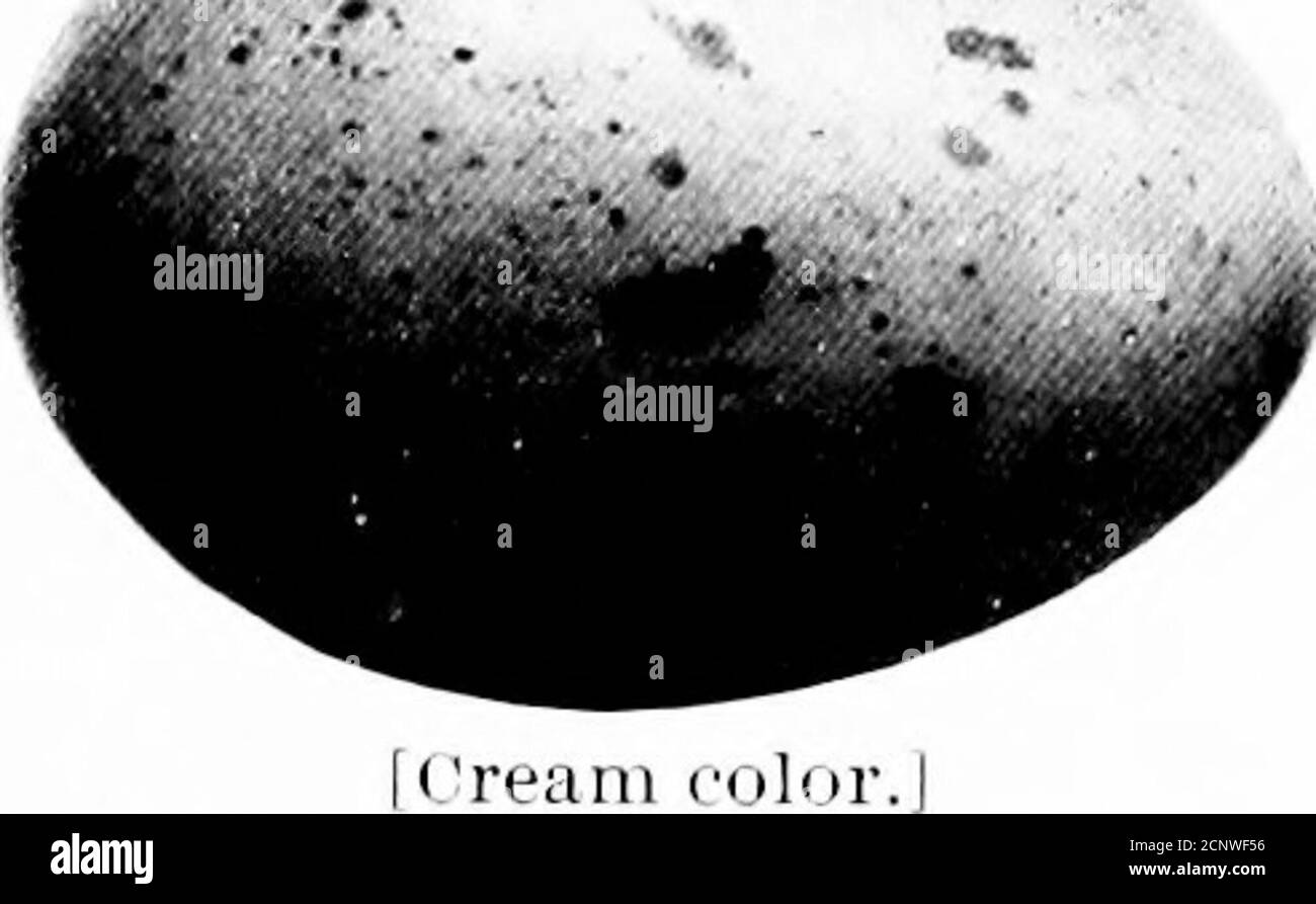 Tangled weeds Cut Out Stock Images & Pictures - Alamy