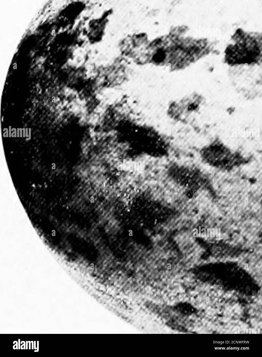 Sandhill crane feet Black and White Stock Photos & Images - Alamy