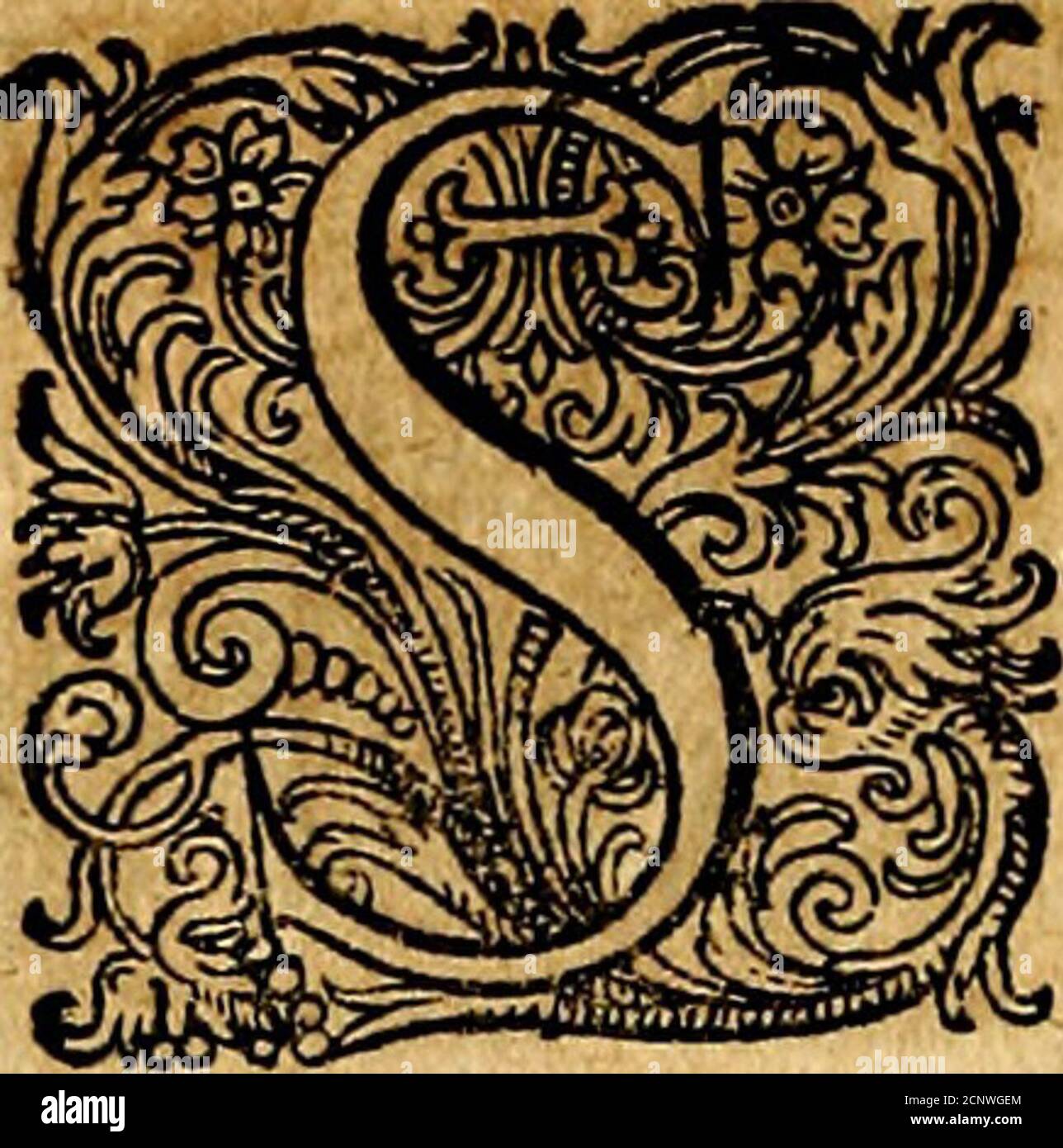 Moderatior hi-res stock photography and images - Alamy