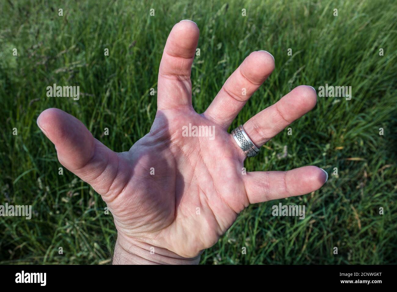 A hand with silver ring before the meadow Stock Photo - Alamy