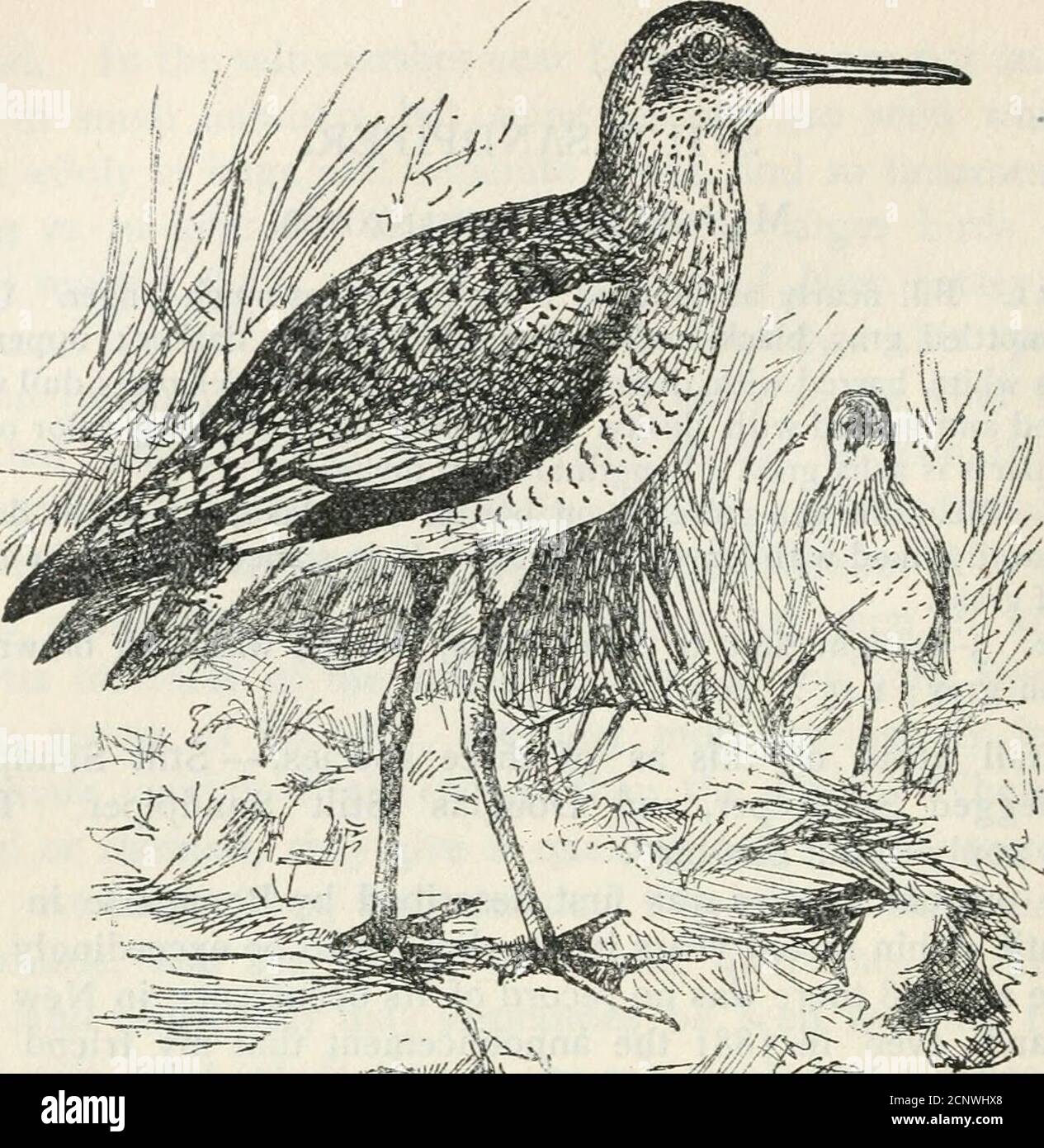 Anda winters hi-res stock photography and images - Alamy