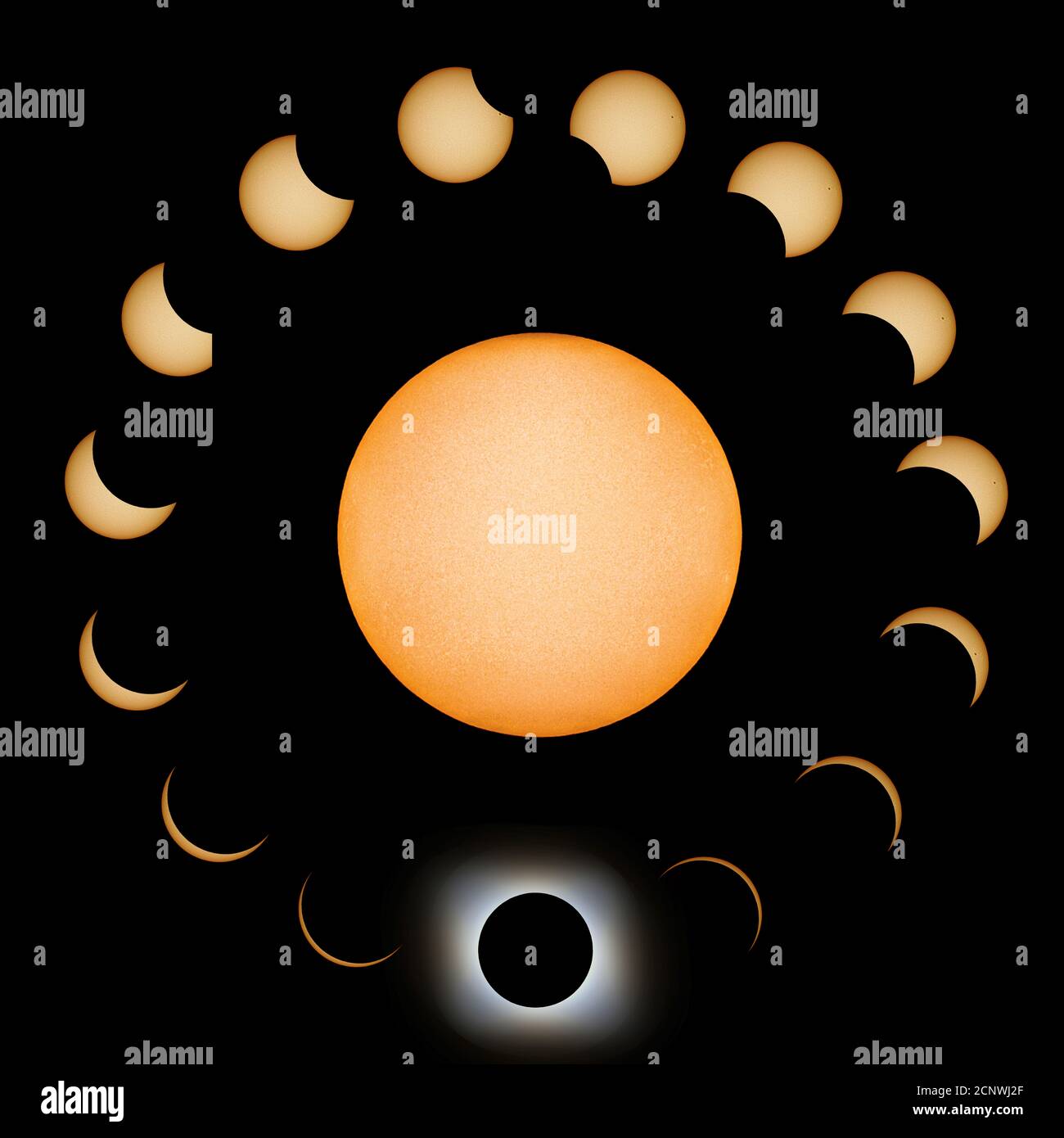Solar Eclipse Phases