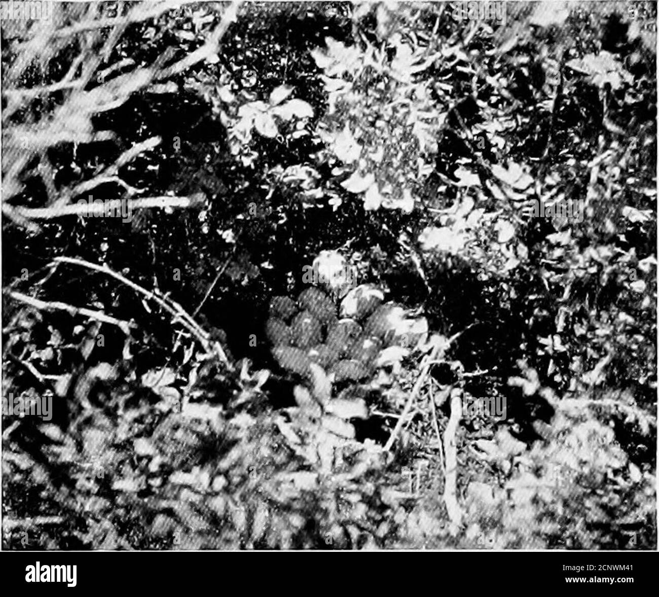 Scratched out face hi-res stock photography and images - Alamy