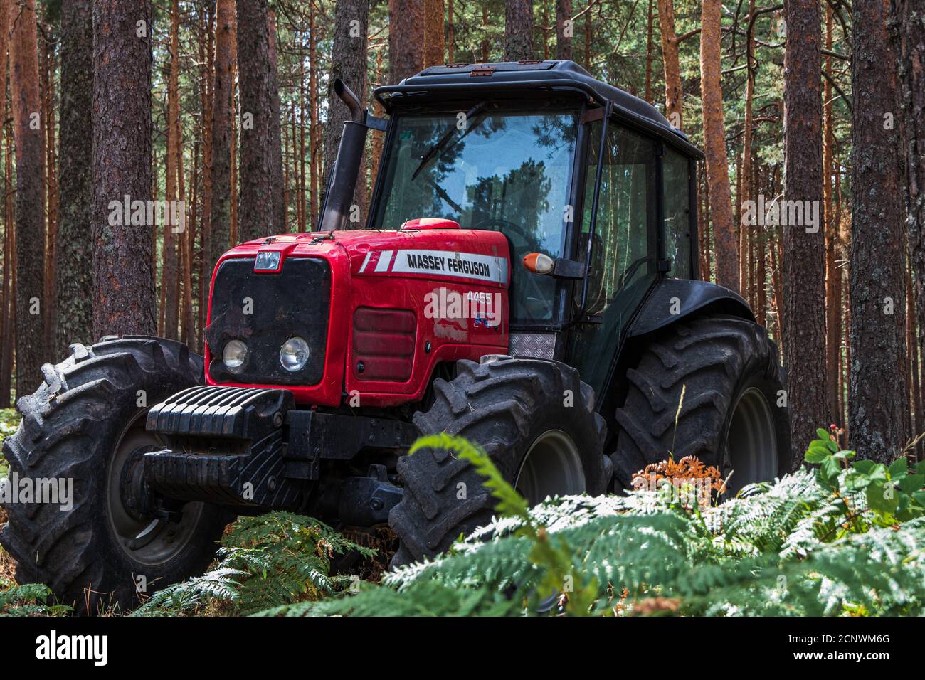 Wood woods transport tractor hi-res stock photography and images - Alamy