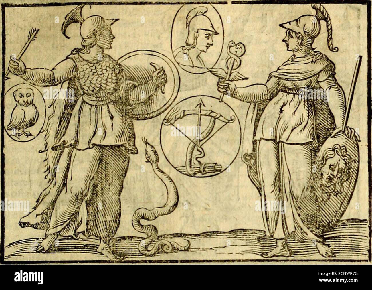 Pailas hi-res stock photography and images - Alamy