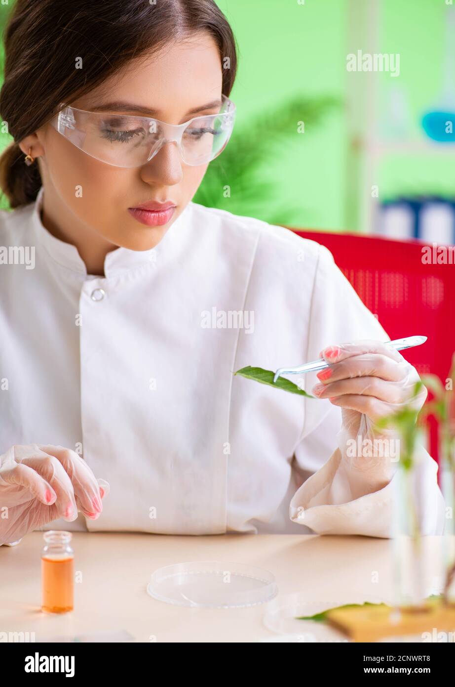 The beautiful female biotechnology scientist chemist working in lab ...