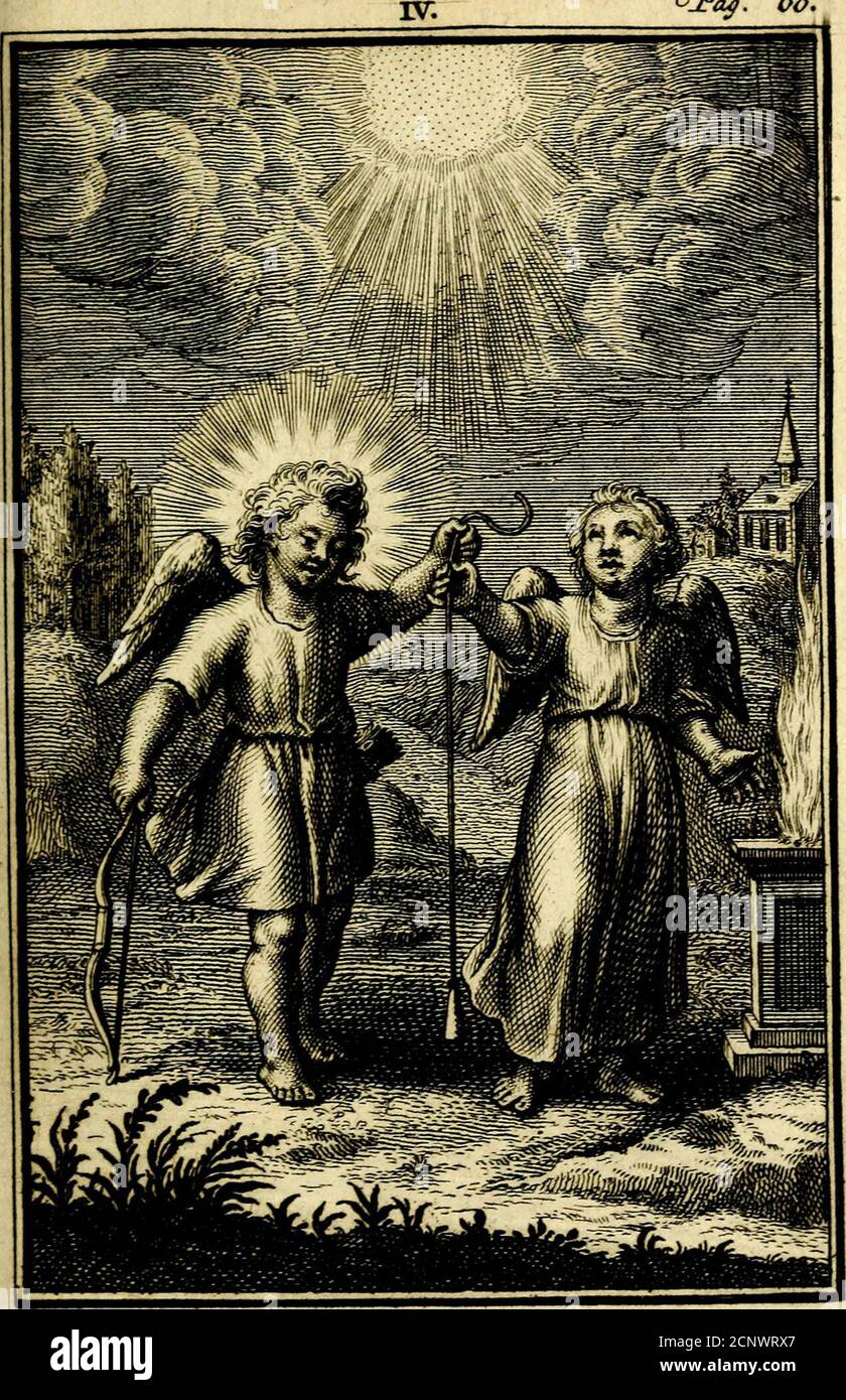 Coeur humain hi-res stock photography and images - Alamy