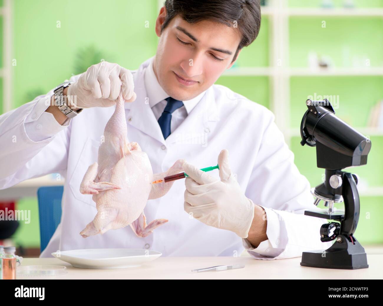 The lab assistant testing gmo chicken Stock Photo - Alamy