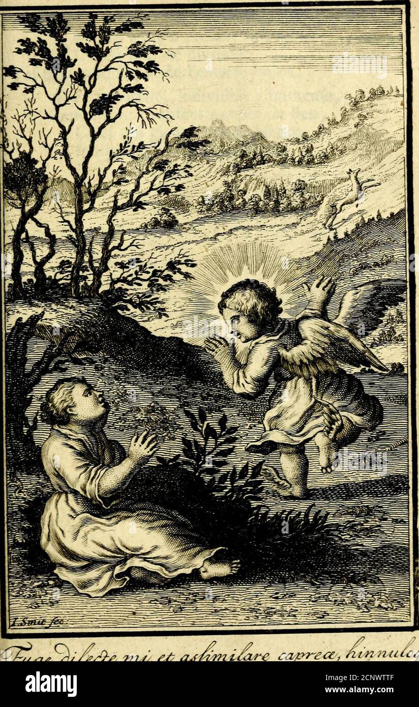 Mille coeurs hi-res stock photography and images - Alamy