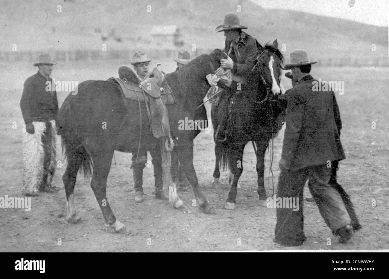 Rodeo border hi-res stock photography and images - Alamy