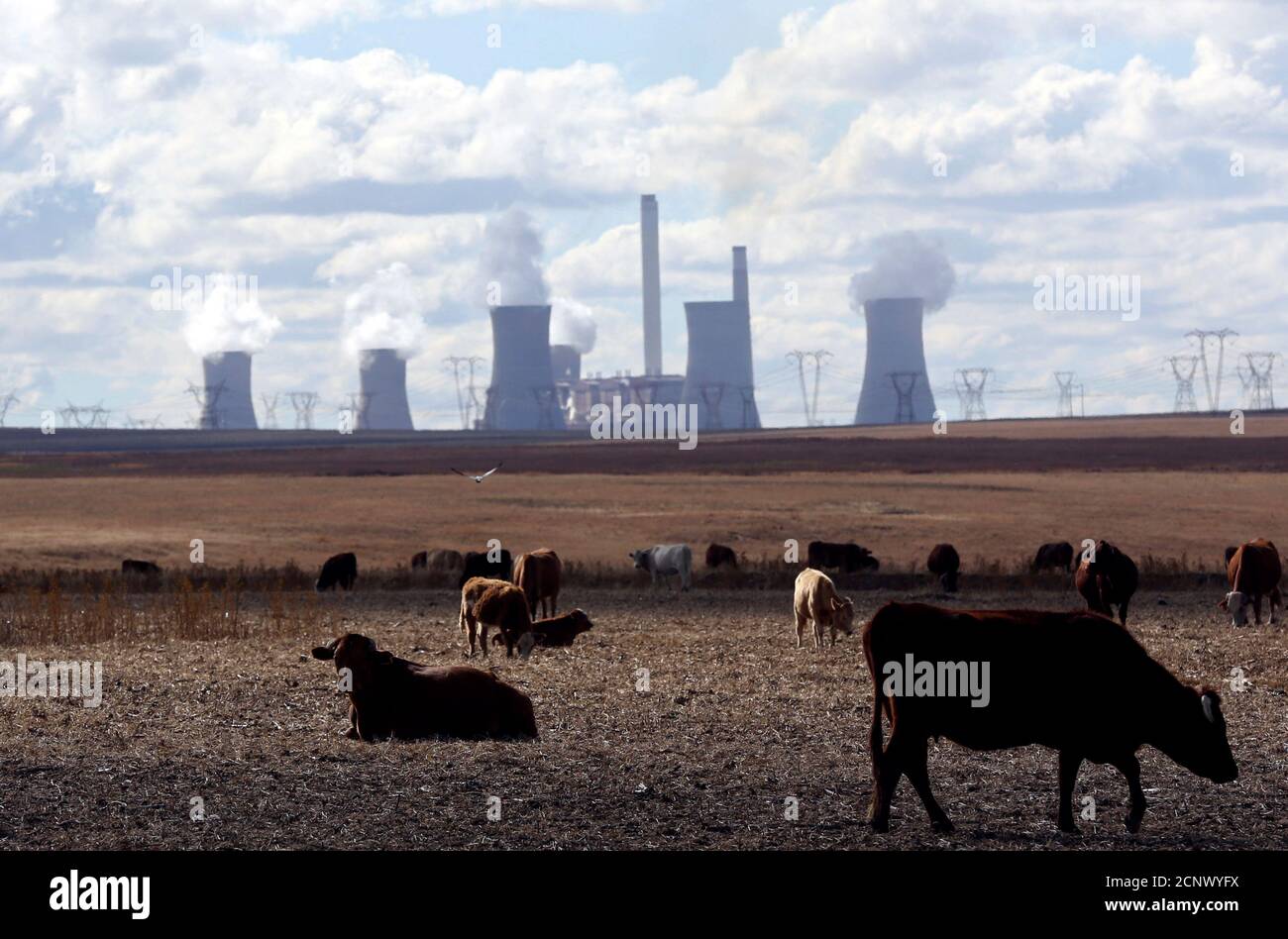 South africa coal power plant hi-res stock photography and images - Alamy