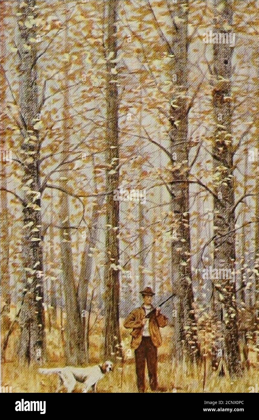 . Our feathered game; a handbook of the North American game birds . 9 ...