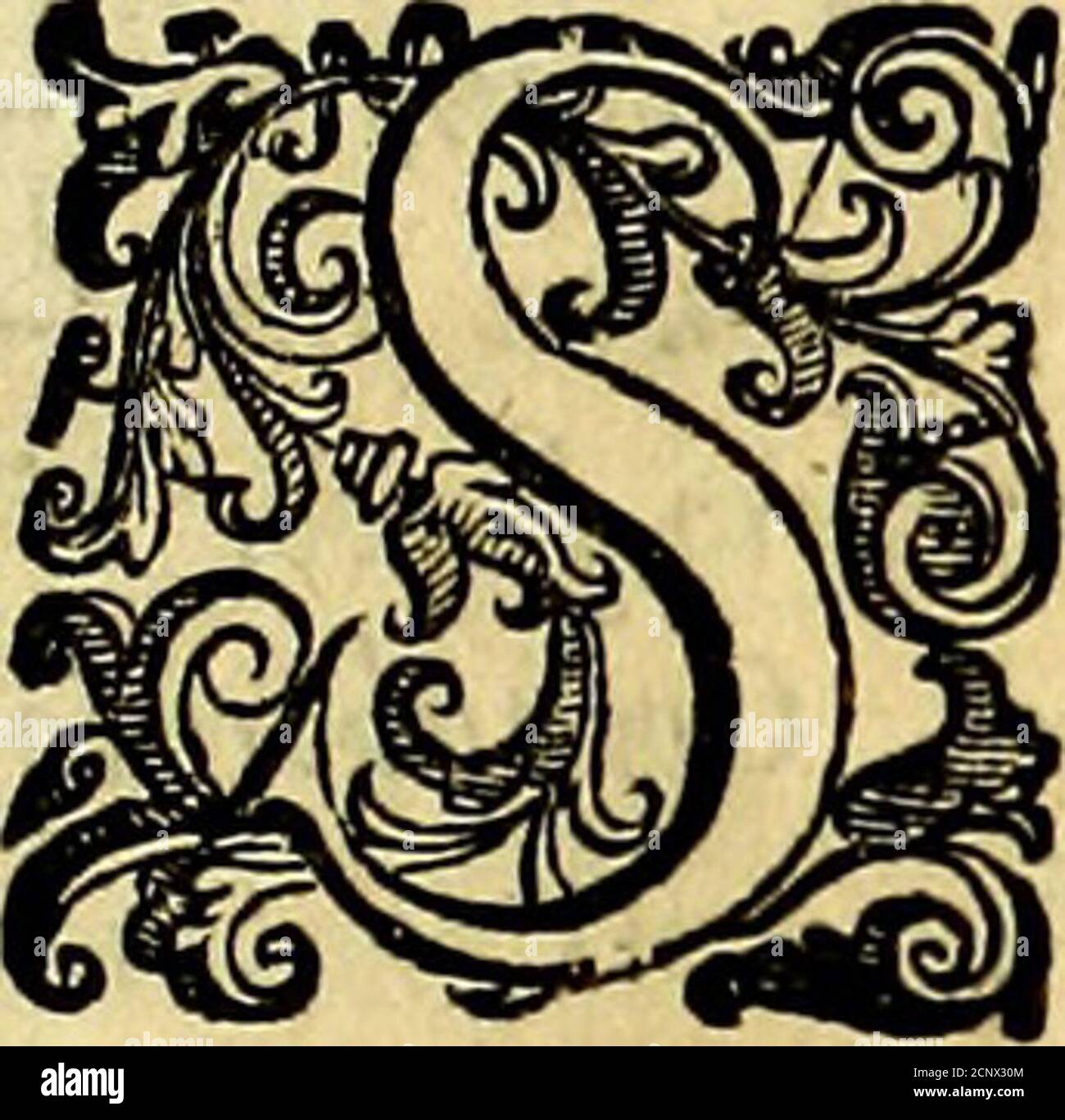 Auas hi-res stock photography and images - Alamy