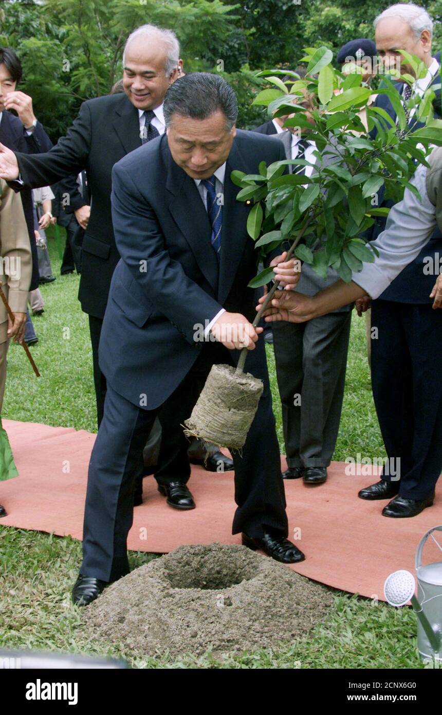 Savar tree hi-res stock photography and images - Alamy