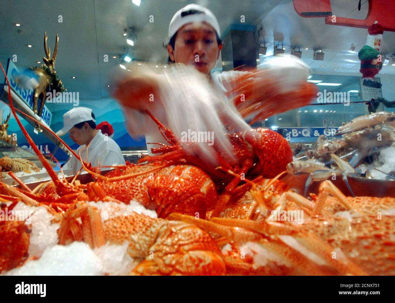 Shrimp fish market sydney hi-res stock photography and images - Alamy