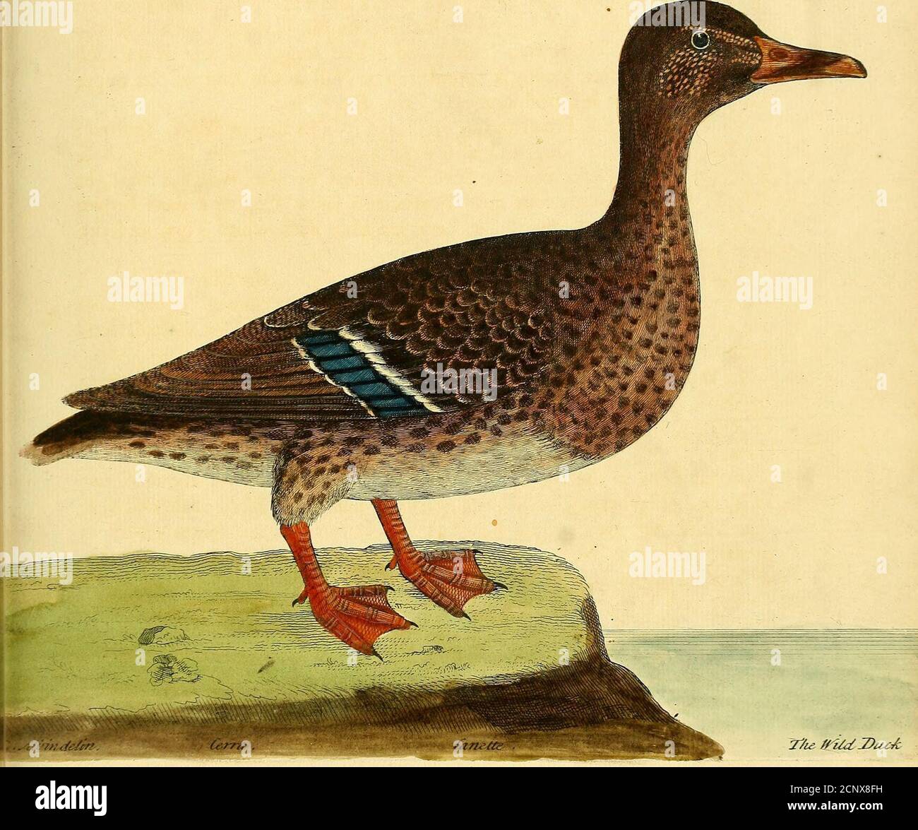 Summerby hi-res stock photography and images - Alamy