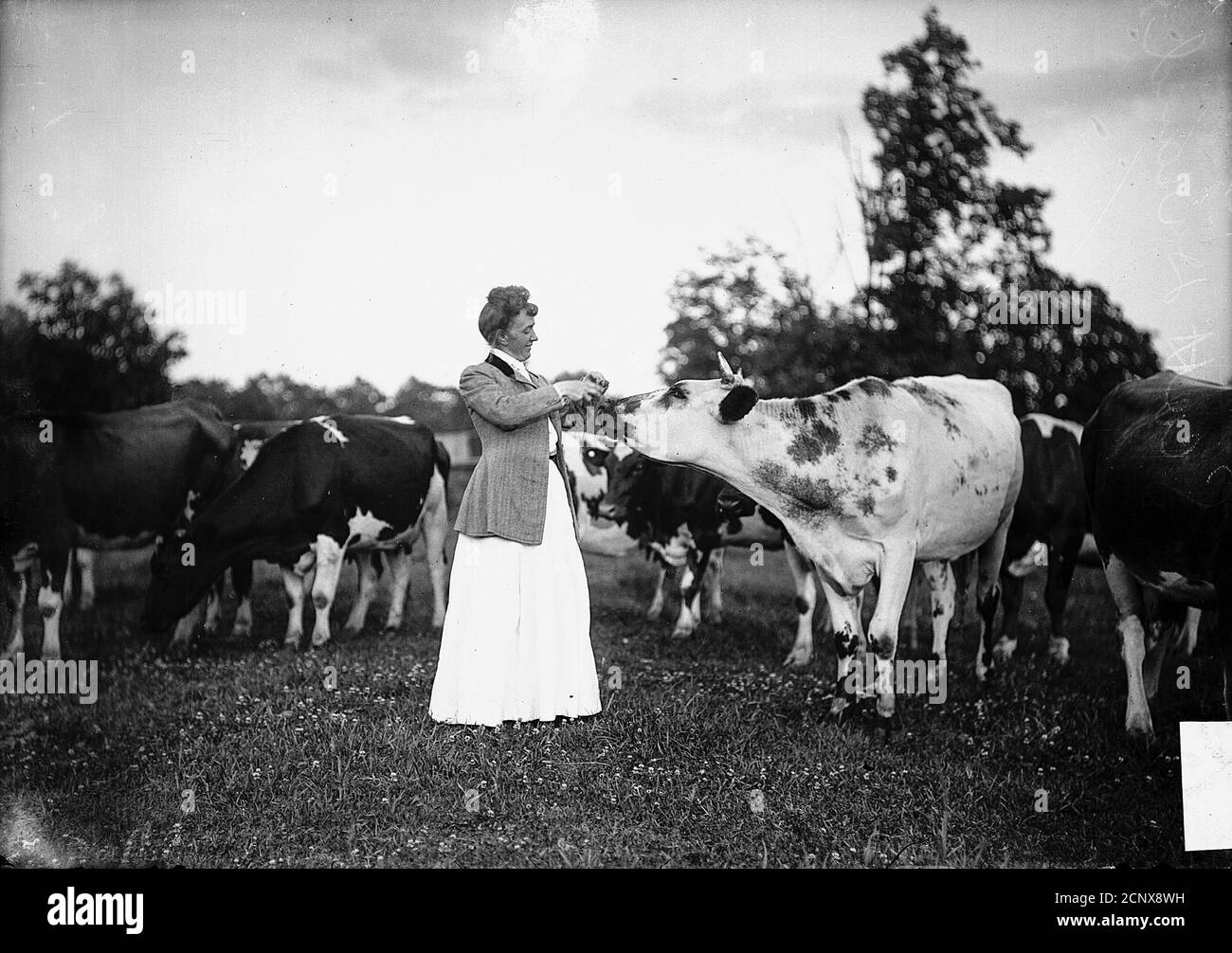 Grace Durand (wife of sugar broker Scott Sloan Durand) in a field with ...