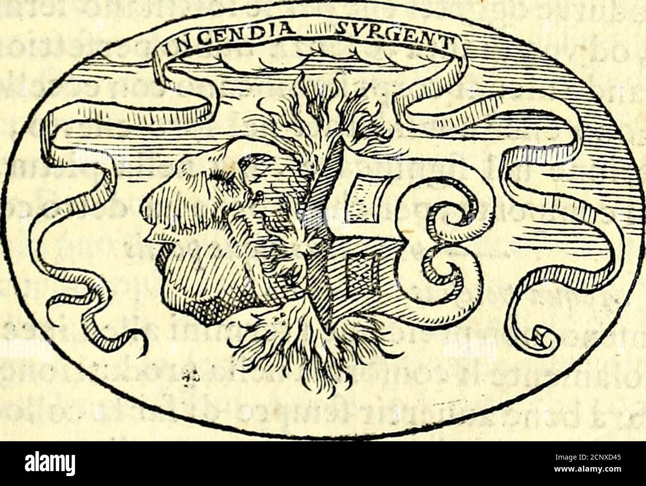 Corpo vivo hi-res stock photography and images - Alamy