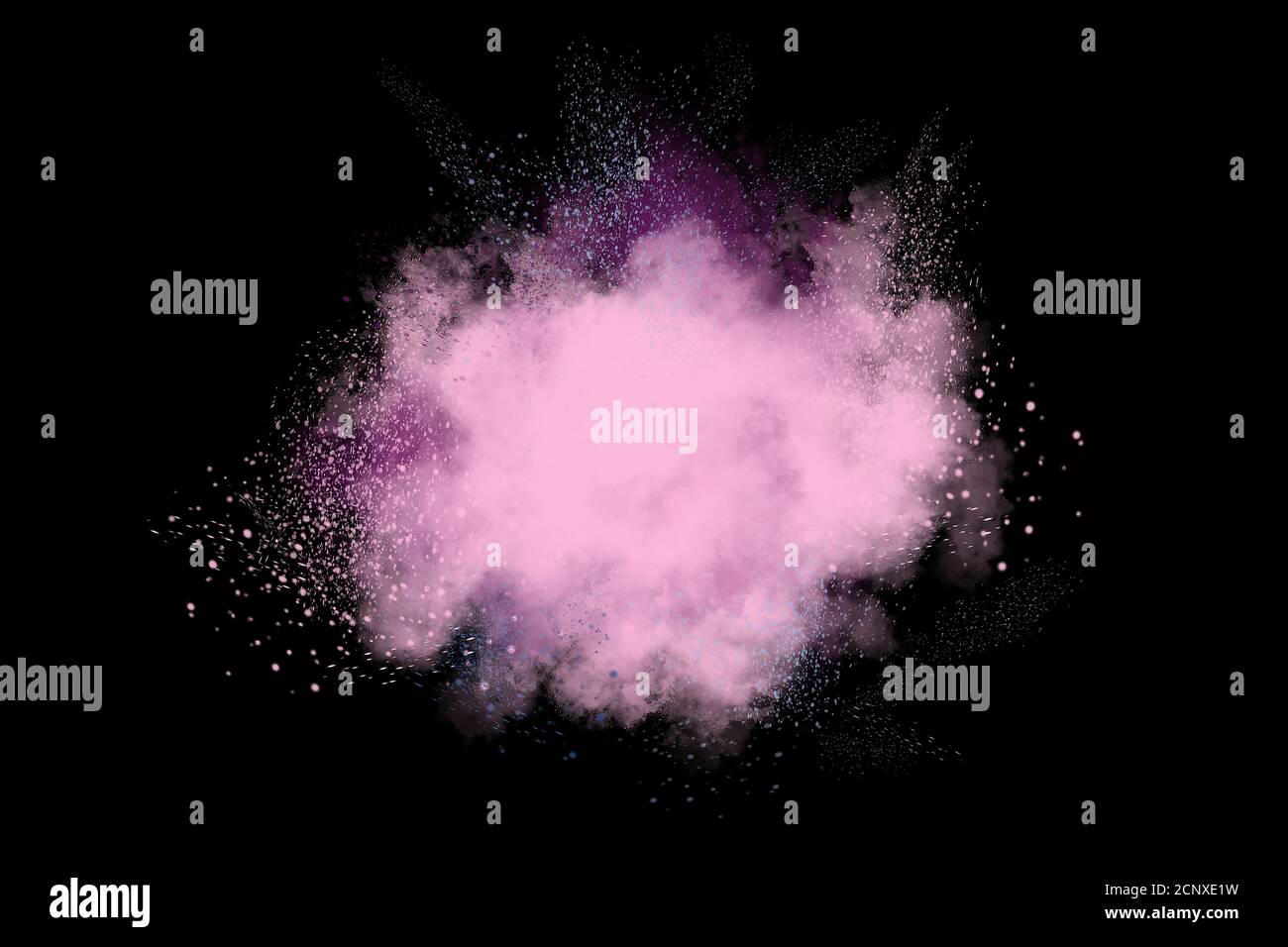 explosion of pink, violet and blue powder on black background. Freeze ...