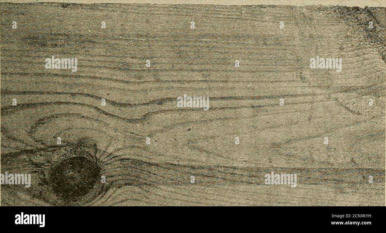 Pitch pocket hi-res stock photography and images - Alamy