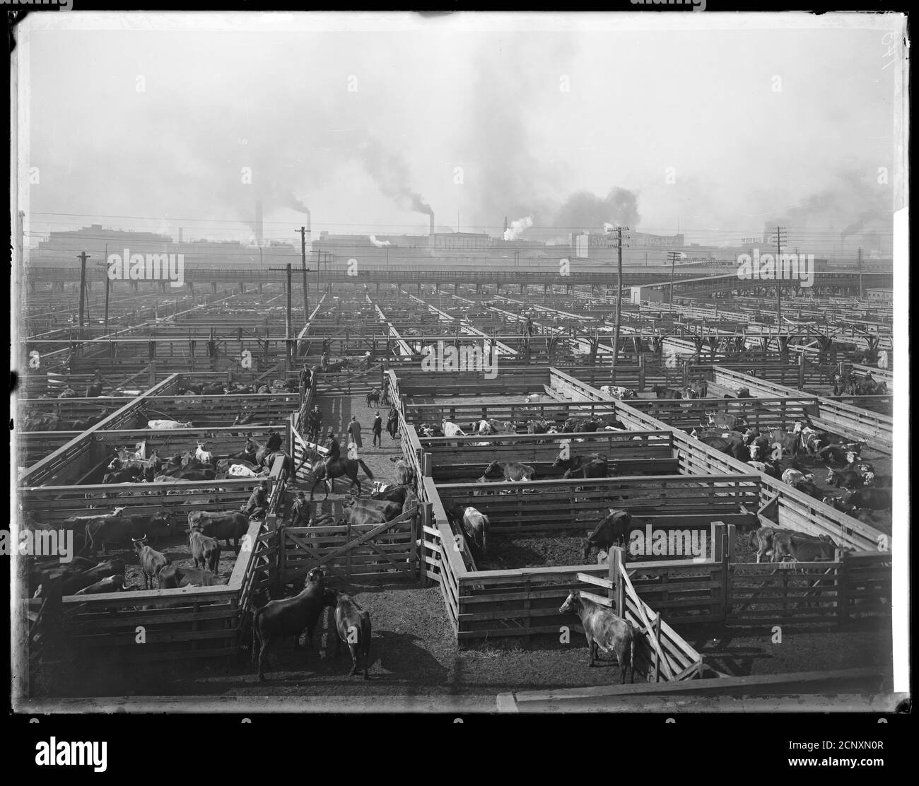 Vaccaries or ancient cattle pens Black and White Stock Photos & Images ...