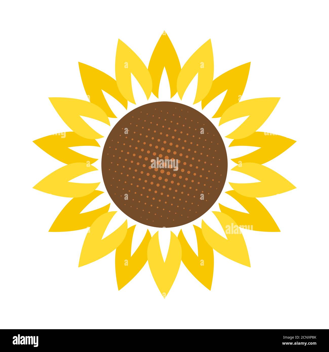 Sunflower in flat style vector isolated Stock Vector Image & Art - Alamy