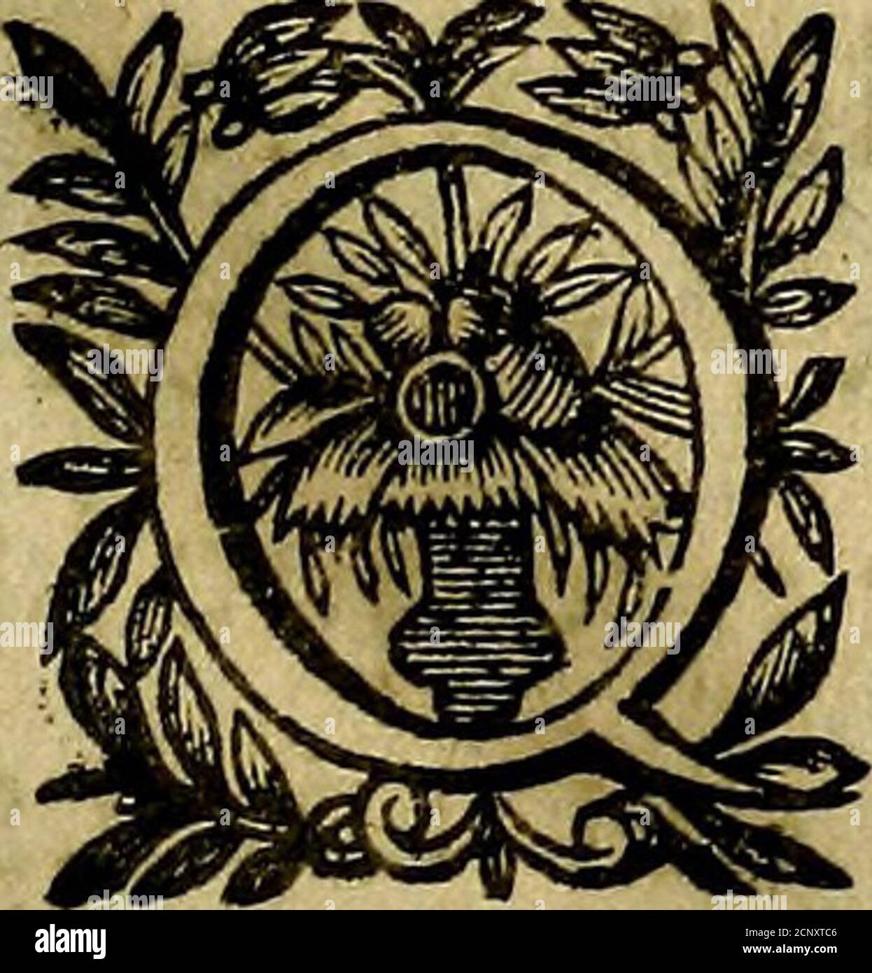 Dfe font hi-res stock photography and images - Alamy