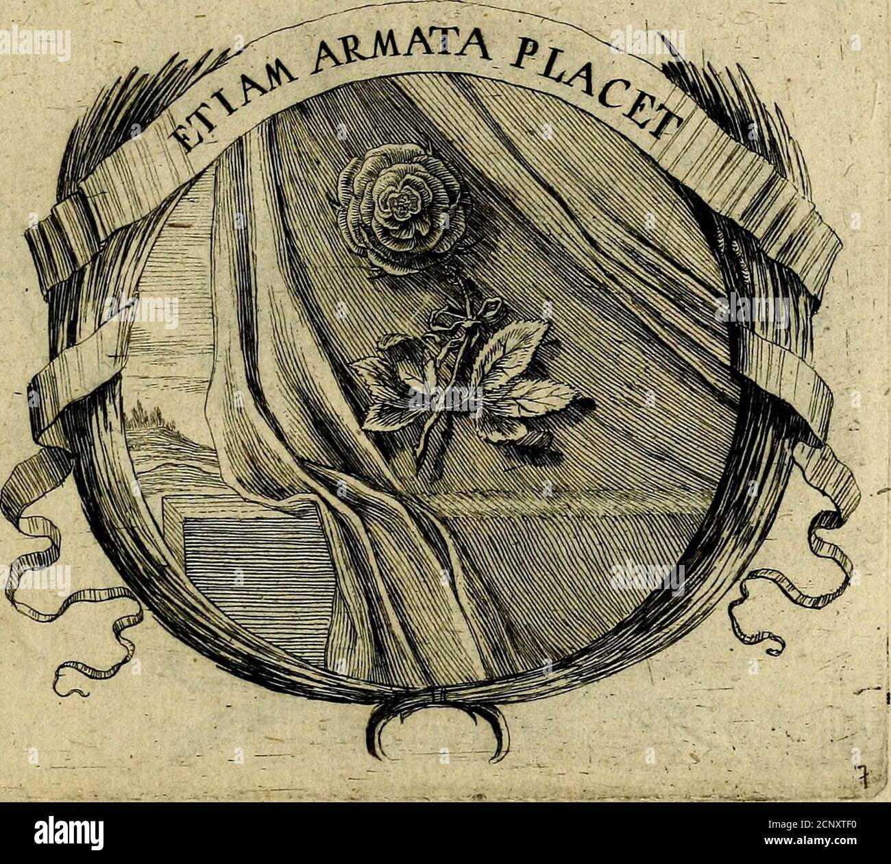 Dfe font hi-res stock photography and images - Alamy