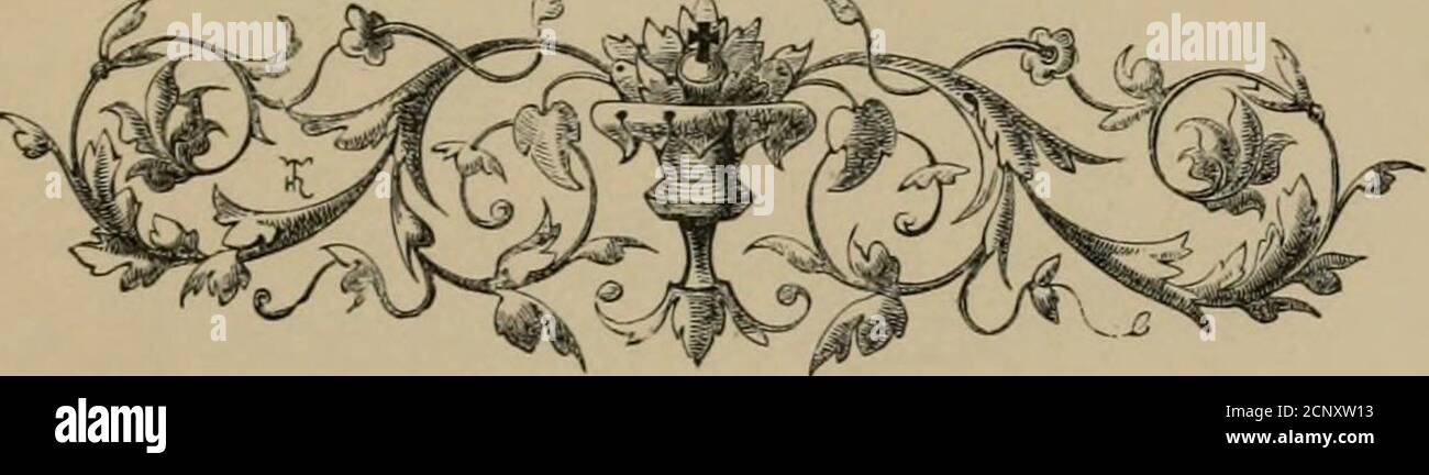 Quarks hi-res stock photography and images - Alamy