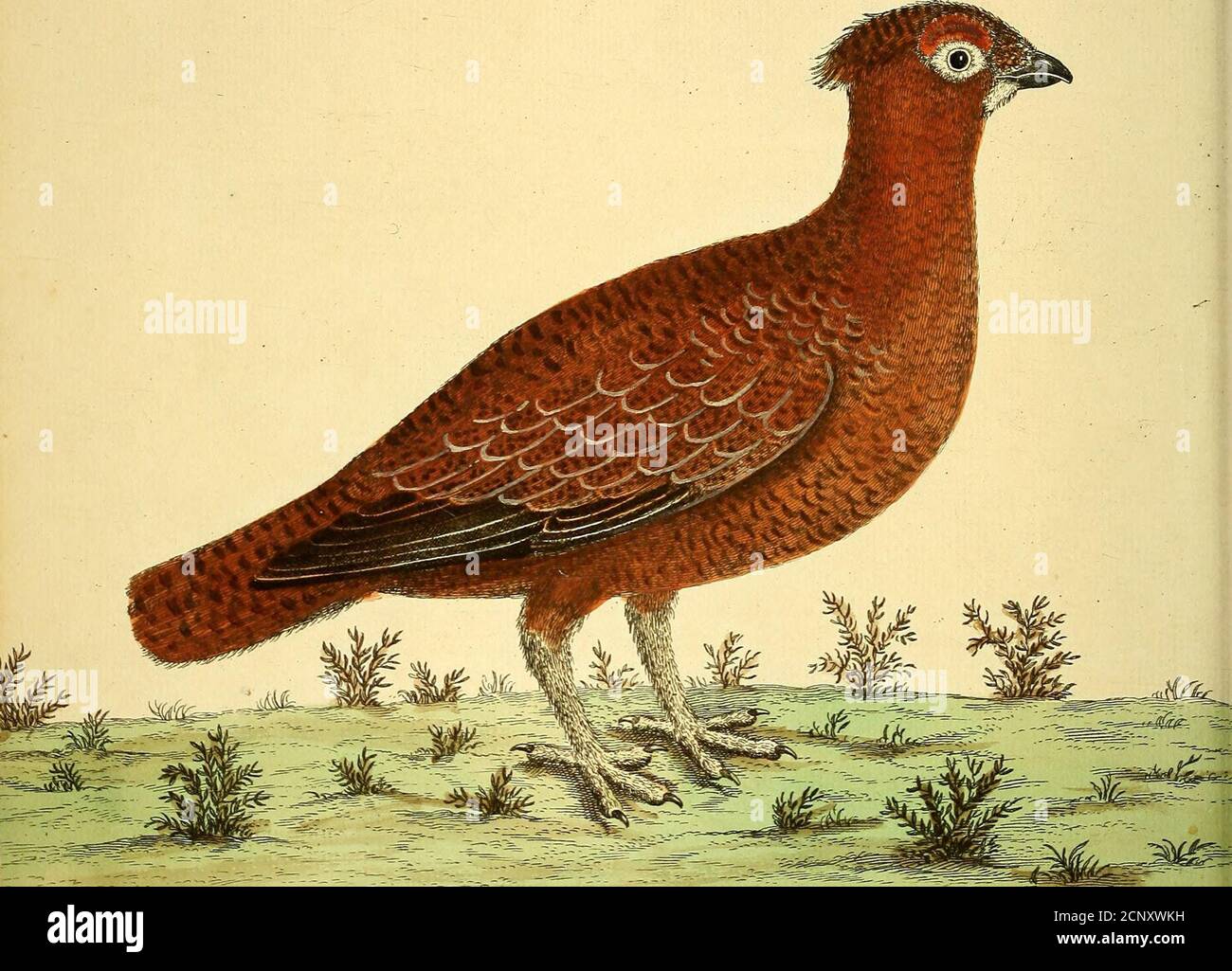 Riya m hi-res stock photography and images - Alamy