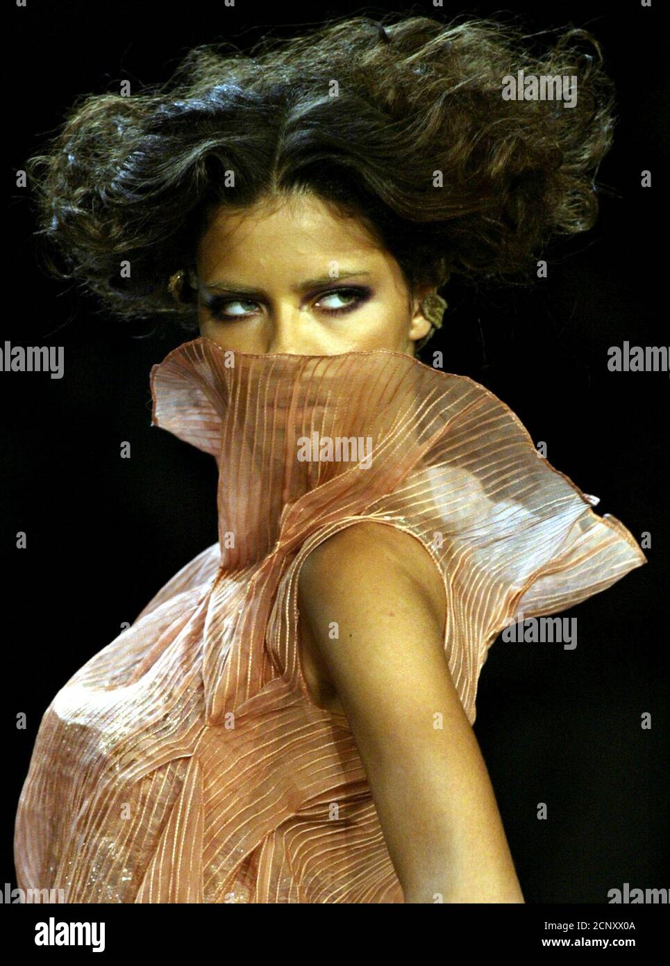 Adriana Lima Brazilian Model High Resolution Stock Photography and ...