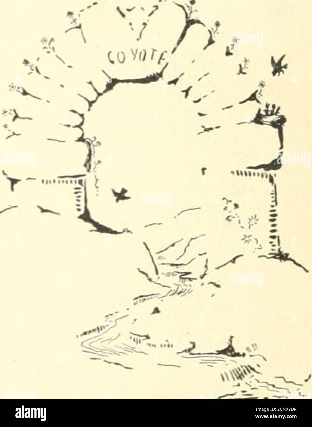 Big five drawings hi-res stock photography and images - Alamy