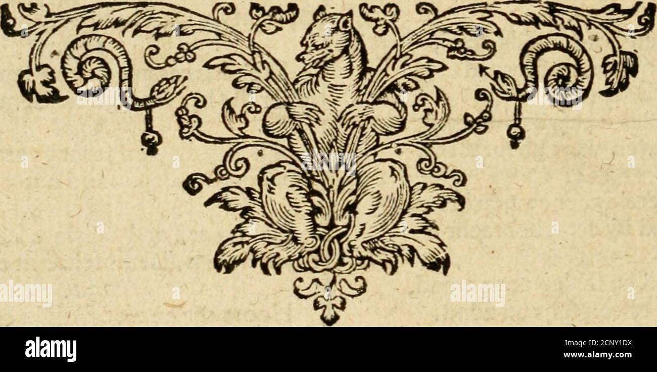 Boofe hi-res stock photography and images - Alamy