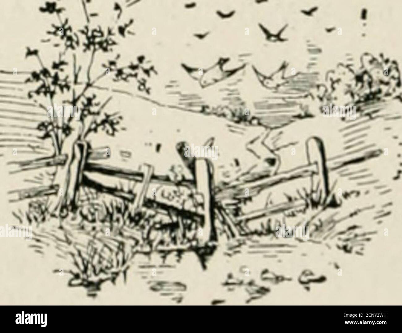 Jimmy wren hi-res stock photography and images - Alamy