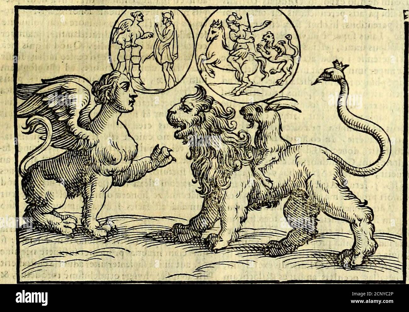 Mulr hi-res stock photography and images - Alamy