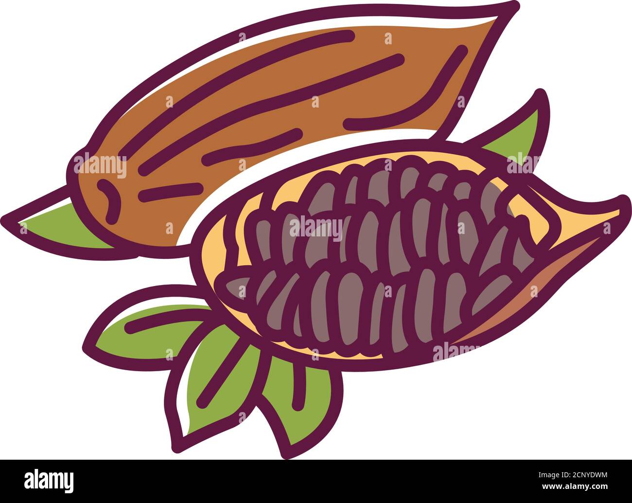 Cacao pod color line icon. Raw product. Used to make chocolate and ...